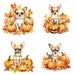 Cute Chihuahua Pumpkin Patch Fall Season Watercolor Clipart, Digital ...
