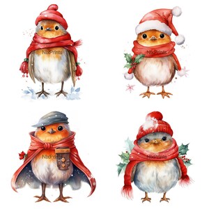 Robin Bird Clipart, Christmas Clipart, in a Santa Claus Dress, White ...