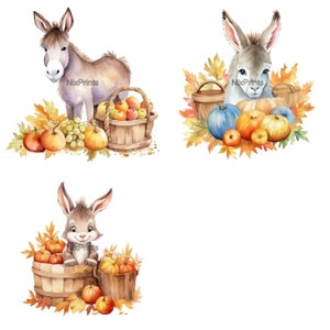 Cute Donkey Harvest Food Fall Season Watercolor Clipart, Print for ...