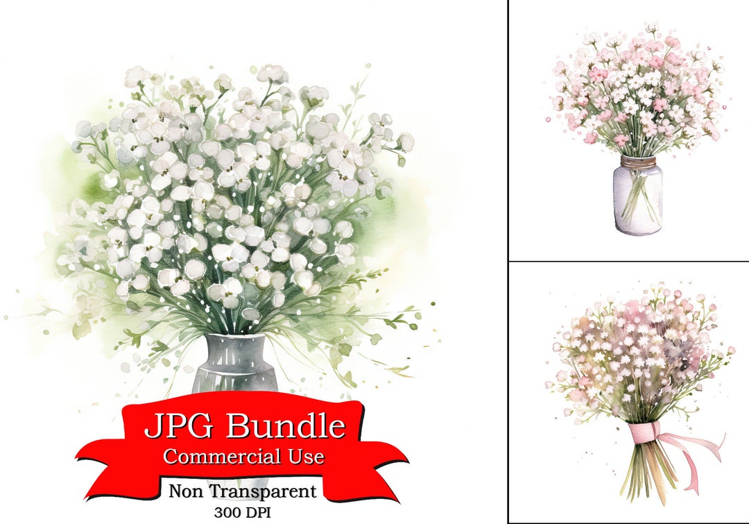 Babys Breath Flower Bouquet Clipart, Watercolor Art, Digital Paper ...