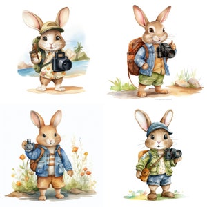 Rabbit Clipart, Tourist Clipart, Dressed as a Tourist, Taking Photos ...
