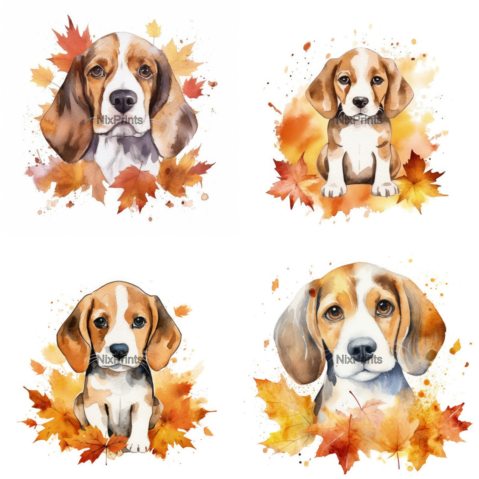 Beagle Fall Foliage Clipart, Art for Cats, Digital Sticker for Women ...