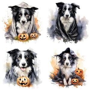 Border Collie Dog, Spooky Halloween Clipart, Ghost Theme, Art for Mens ...