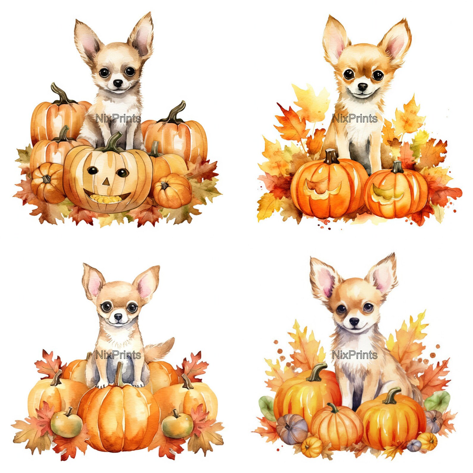 Cute Chihuahua Pumpkin Patch Fall Season Watercolor Clipart, Digital ...