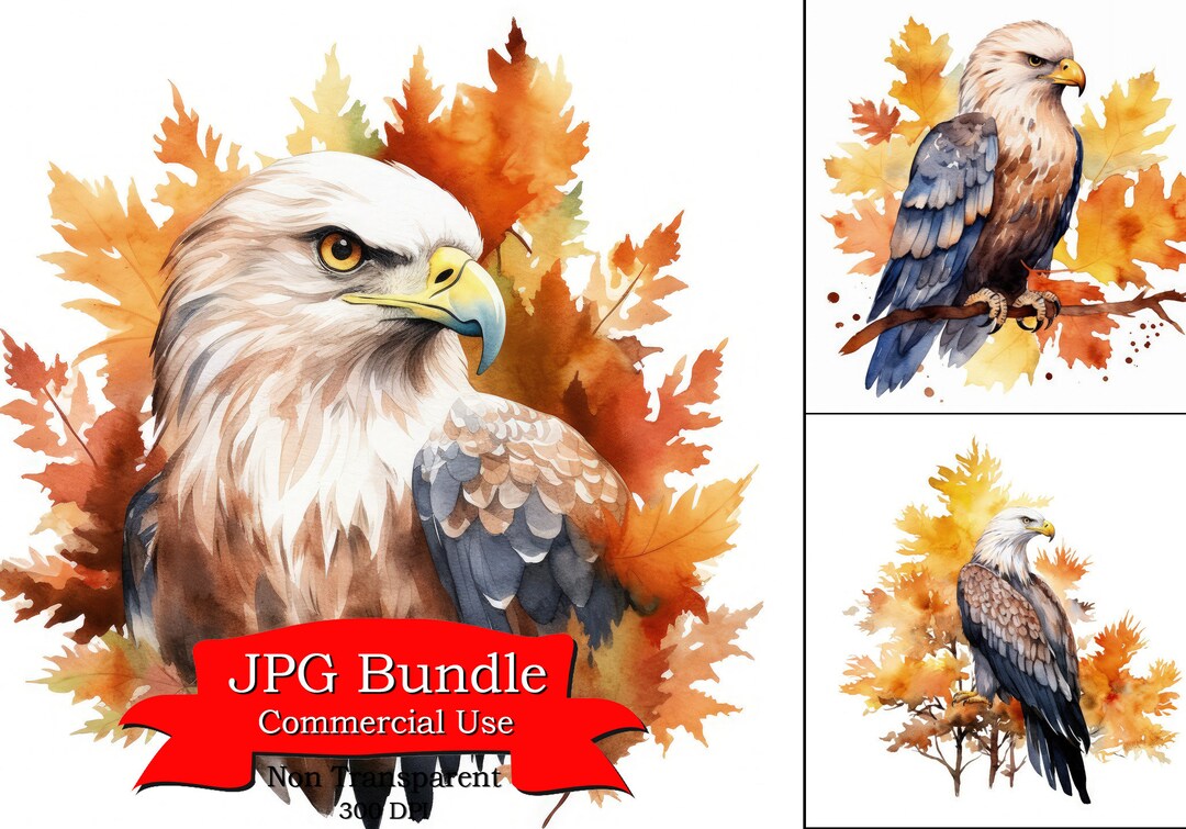 Cute Eagle Fall Foliage Fall Season Watercolor Clipart - Etsy