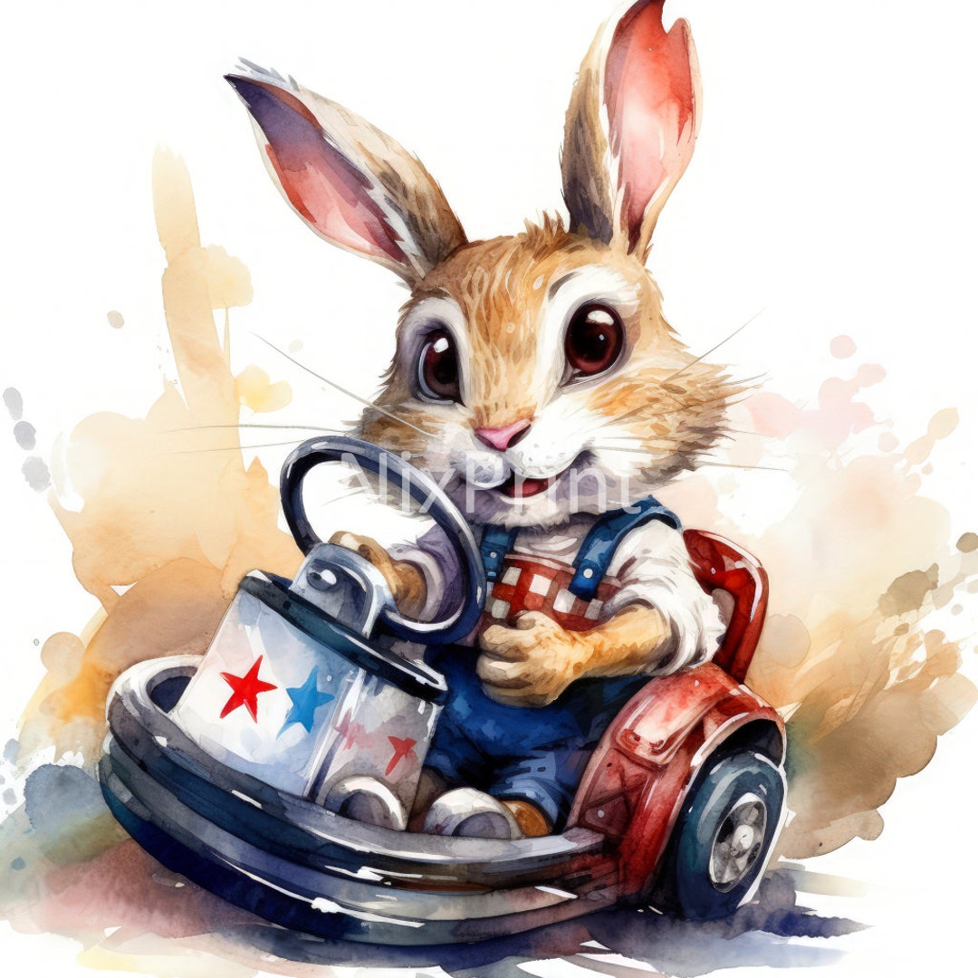 Rabbit Clipart Race Car Clipart in a Race Car Driver's - Etsy