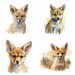 Adorable Clipart Baby Kioti Animal for Crafting ,high-resolution ,JPG ...