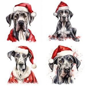 Cute Great Dane Clipart, Santa Claus Dress, White Background ...