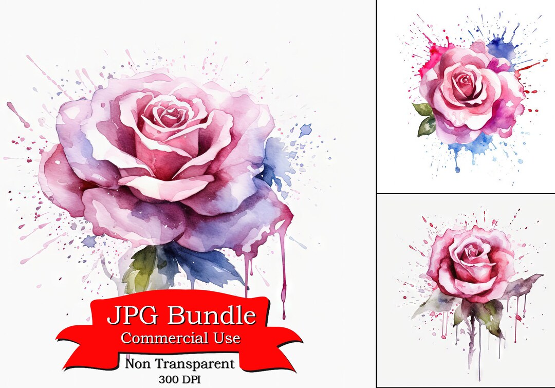 Rose Paint Splash Watercolor Digital Clipart Digital Paper Crafting ...