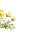 Buttercup Crown Clipart, Yellow Flowers Clipart, Buttercup Flowers ...