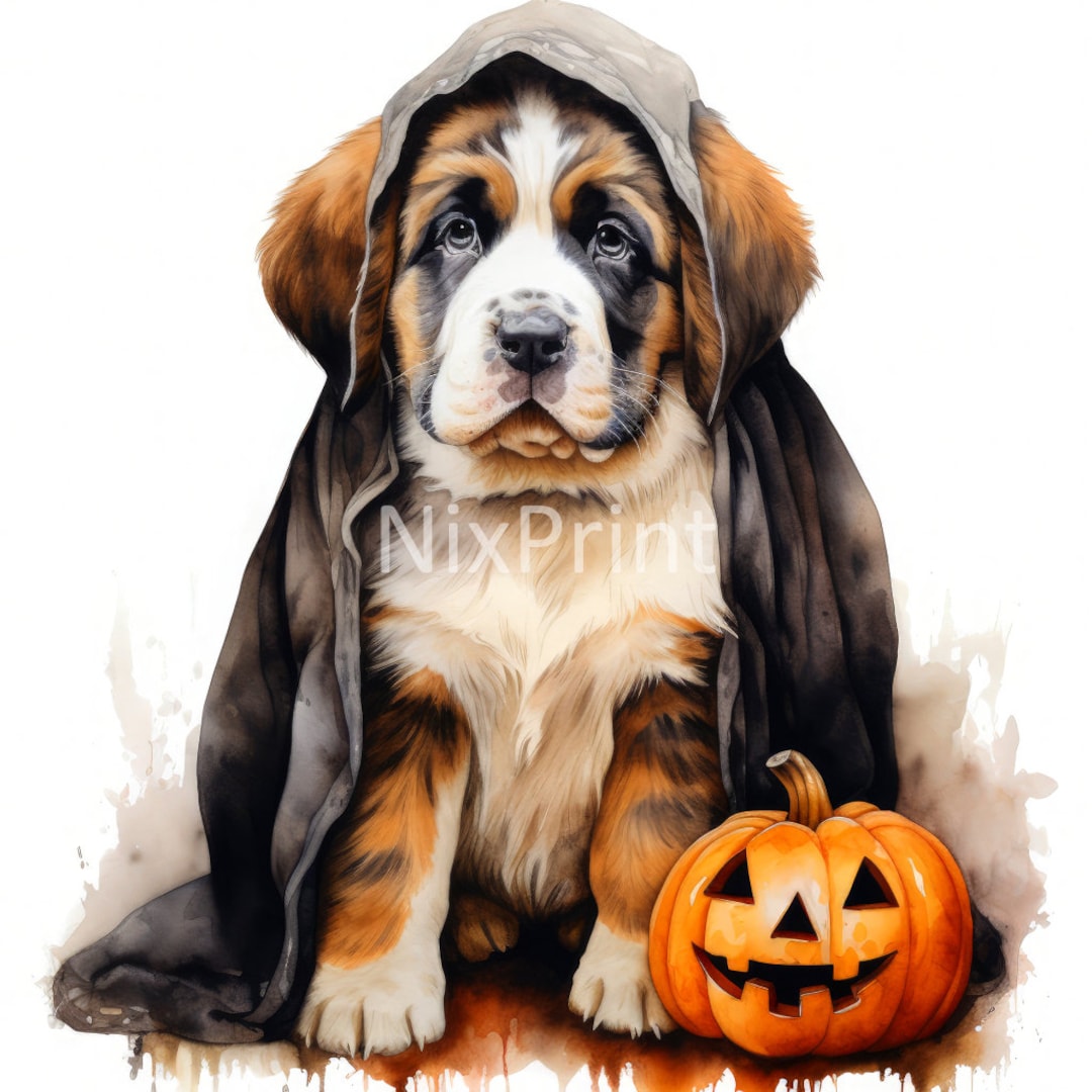 Halloween Saint Bernard Clipart, Puppy in Spooky Costume, Saint Bernard ...