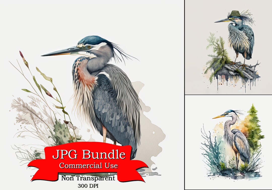 Heron Clipart, Blue Heron Clipart, Graceful Wading Birds, Expert ...