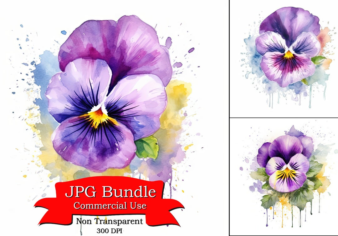 Pansy Paint Splash Watercolor Digital Clipart Digital Paper Crafting ...