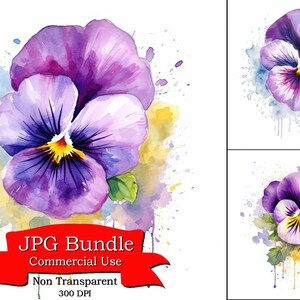 Pansy Paint Splash Watercolor Digital Clipart Digital Paper Crafting ...
