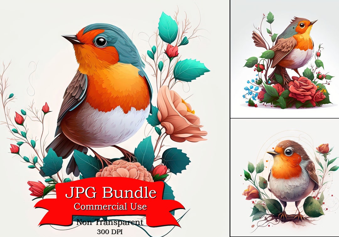 Robin Clipart, Cute Robin, Winter Hat, Scarf, Cartoon Clipart, Vivid Colors, Charming Clipart ...