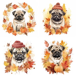 Cute Pug Dog Fall Foliage Clipart, Pug in Hat, Art for Nurses ...
