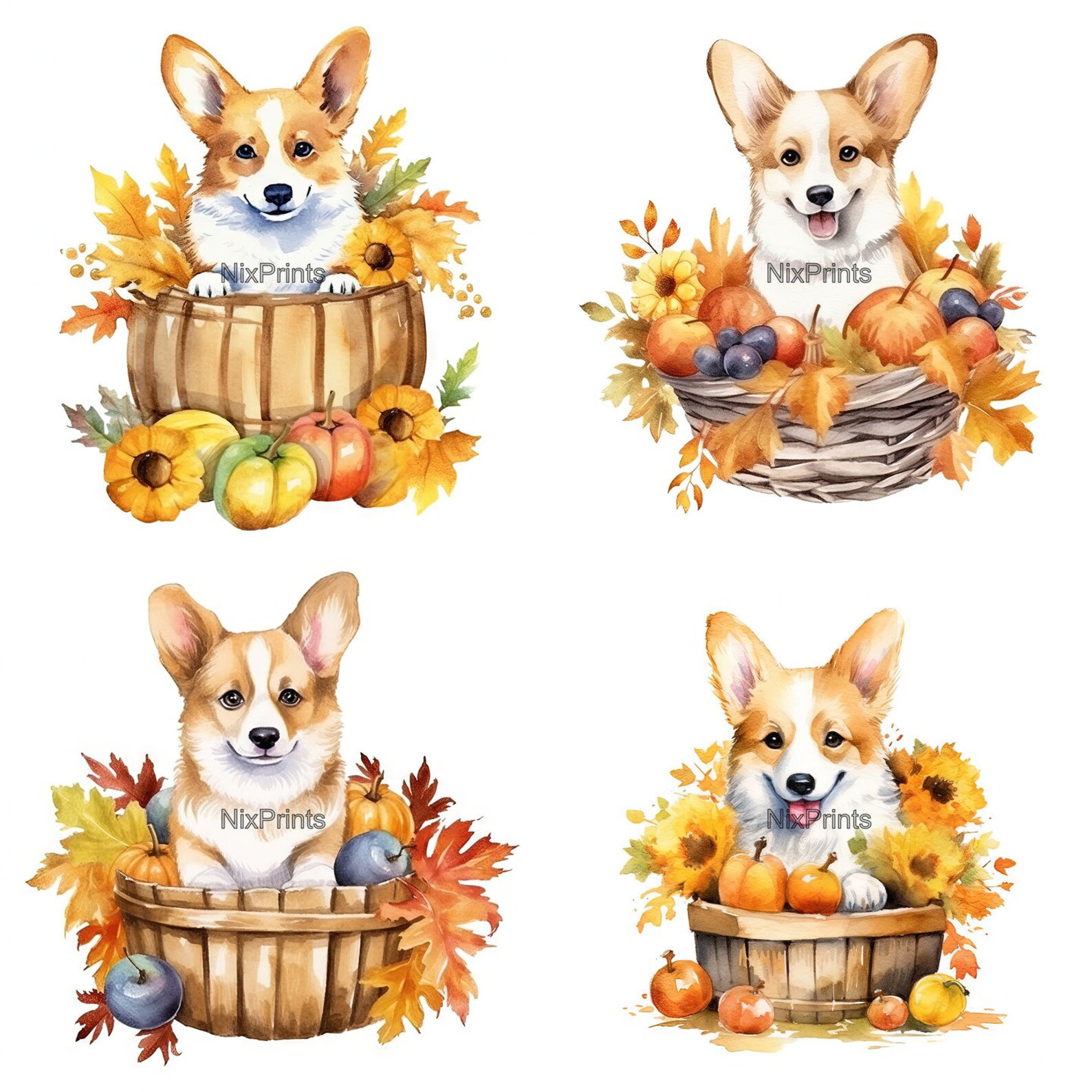 Cute Corgi Harvest Food Fall Season Watercolor Clipart, Pumpkin Clipart ...