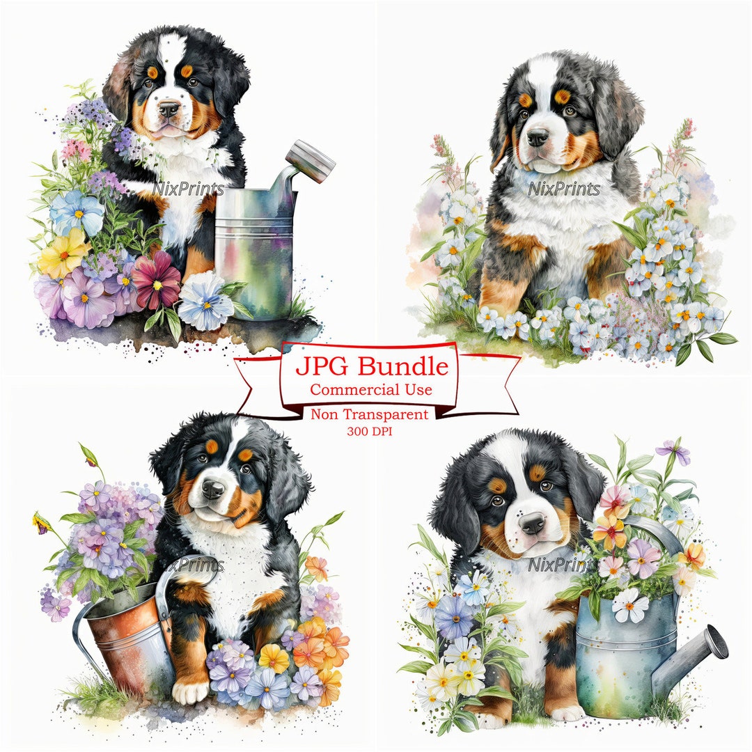 Bernese Mountain Clipart,spring Flower Clipart Gardening Dog Clipart ...