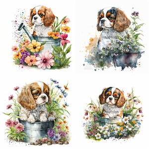 Cavalier King Charles Clipart Spring Flowers and Gardening Theme ...