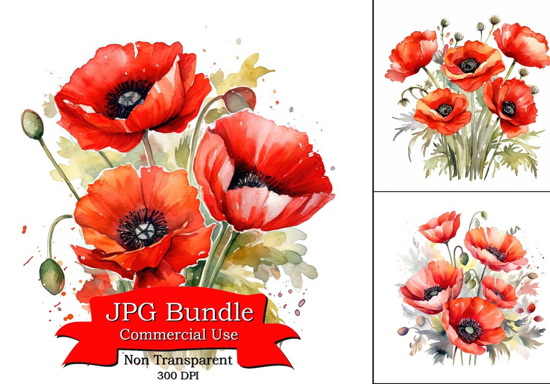 Poppy Bouquet Watercolor Digital Clipart Digital Paper Crafting ...