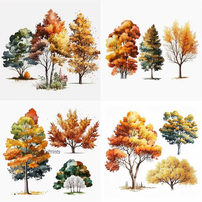 Autumn Trees Clipart: Watercolor Fall Forest Illustration - Etsy