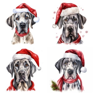 Cute Great Dane Clipart, Santa Claus Dress, White Background ...