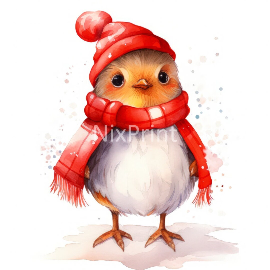 Robin Bird Clipart, Christmas Clipart, in a Santa Claus Dress, White ...
