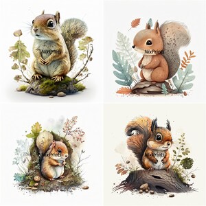 Watercolor Squirrel Clipart Set - Forest Animal Cliparts , Woodland ...