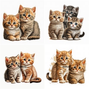 Commercial Use Kitten Clipart -high Quality Digital Cliparts in 300 DPI ...