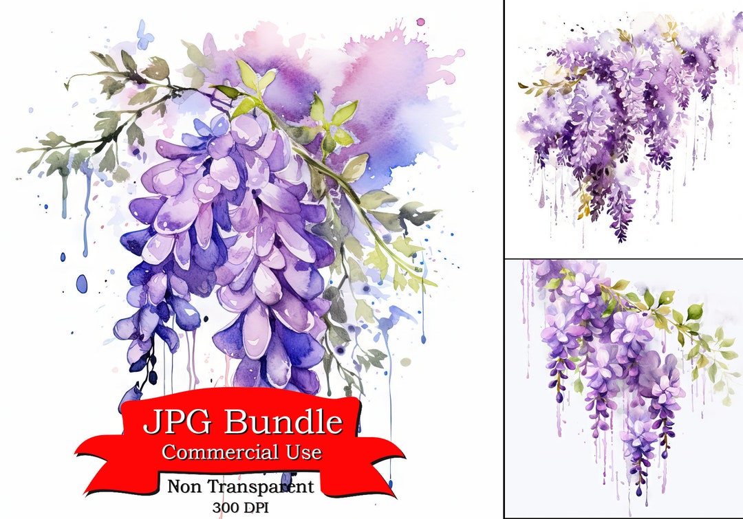 Wisteria Flower Paint Splash Clipart, Watercolor Digital Paper Crafting ...