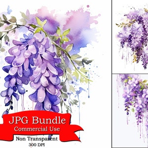 Wisteria Flower Paint Splash Clipart, Watercolor Digital Paper Crafting ...
