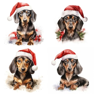 Dachshund Clipart, Dog Clipart, Christmas Clipart, Santa Claus Dress ...