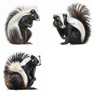 Skunk Watercolor Clipart, Cute Forest Animal Art, Digital Download, Non ...
