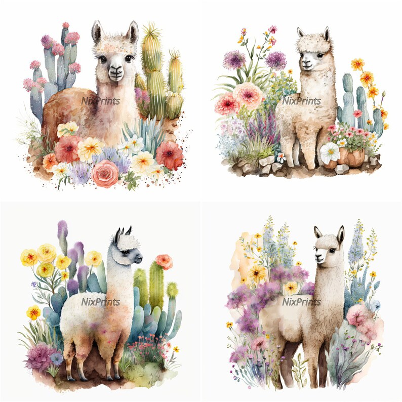 Baby Llama Cria Clipart Spring Flowers & Gardening Theme - Etsy