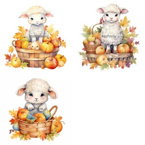 Cute Sheep Harvest Food Watercolor Clipart, Art for the Wall, Picture ...