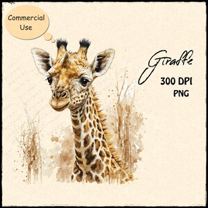 Transparent Giraffe Clipart Watercolor, Baby Giraffe Clipart Digital ...