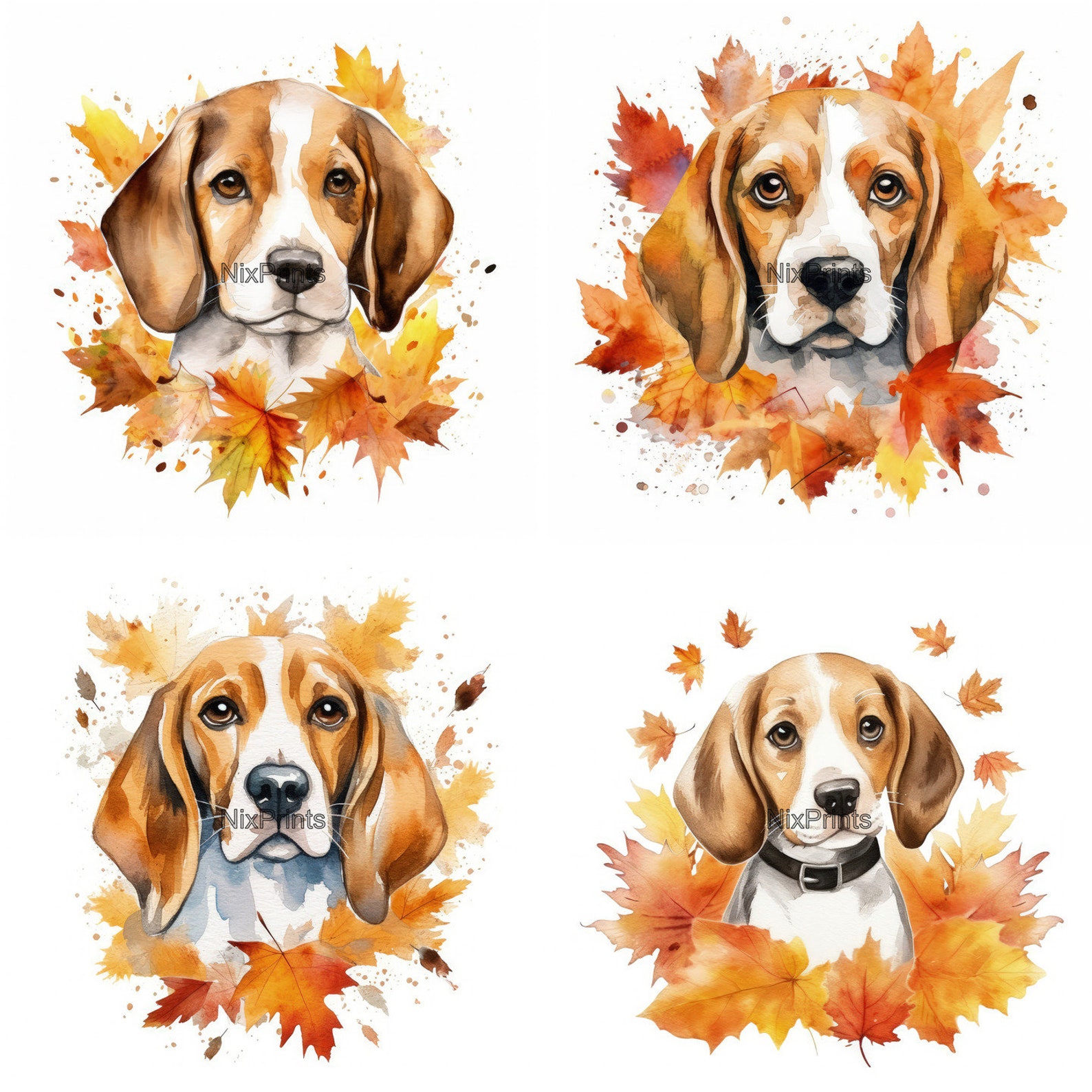 Beagle Fall Foliage Clipart, Art for Cats, Digital Sticker for Women ...