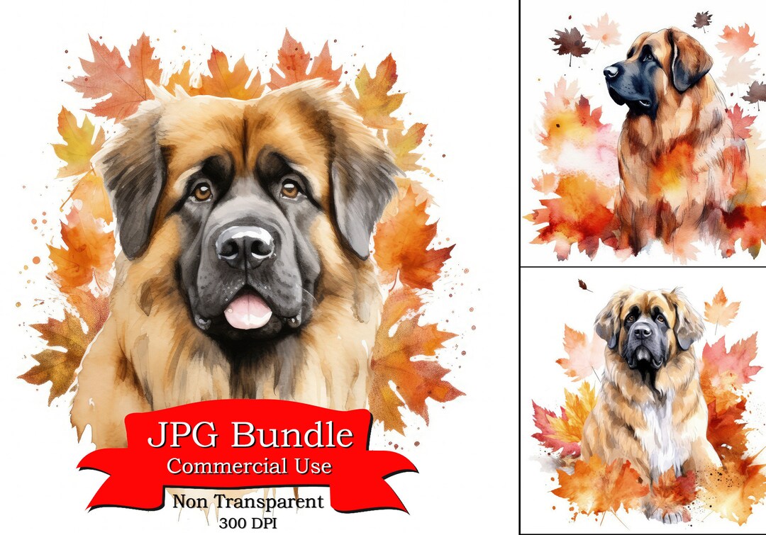 Leonberger Fall Foliage Clipart, Designs for Leggings, Digital Sticker ...