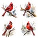 Watercolor Clipart Painting of a Red Cardinal, Digital Sticker for Yeti ...
