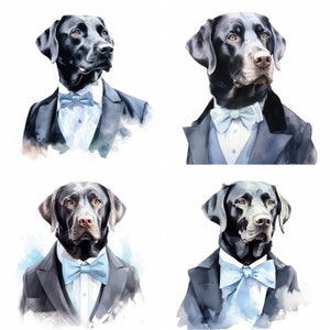 Black and White Male Labrador Retriever Clipart, Labrador Clipart ...