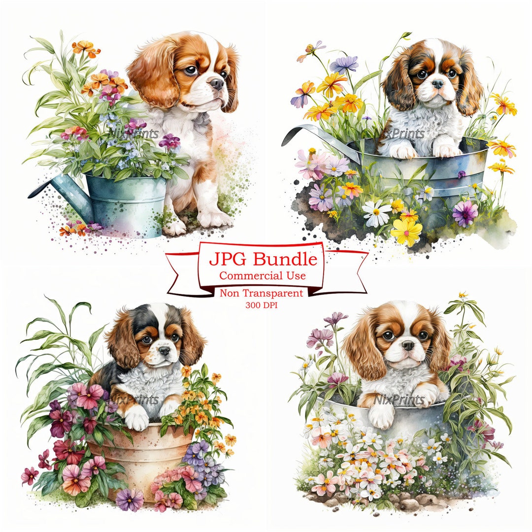Cavalier King Charles Clipart Spring Flowers and Gardening Theme ...