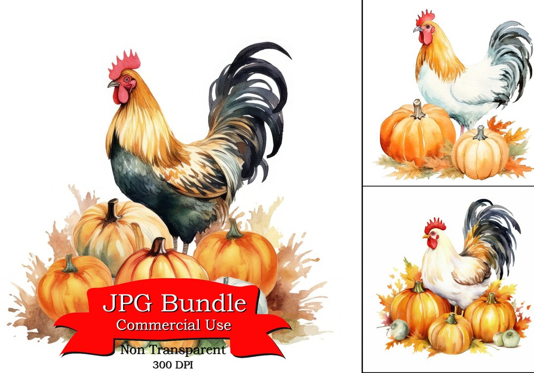 Cute Rooster Pumpkin Patch Watercolor Clipart, Halloween, Images for ...