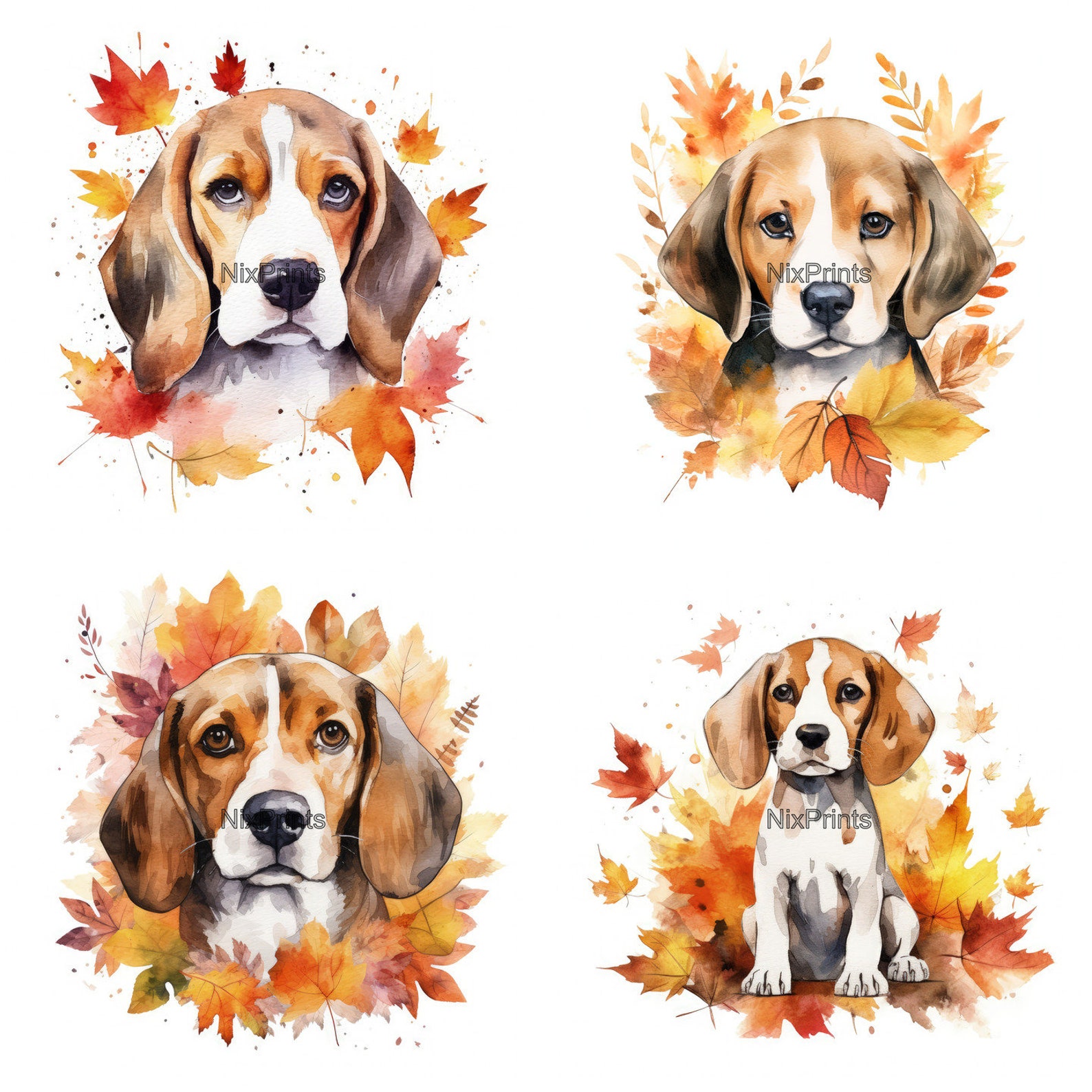 Beagle Fall Foliage Clipart, Art for Cats, Digital Sticker for Women ...