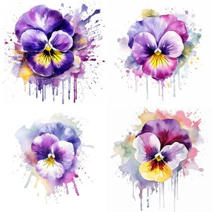 Pansy Paint Splash Watercolor Digital Clipart Digital Paper Crafting ...
