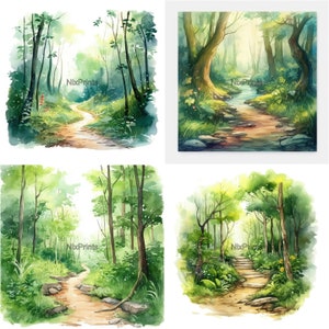 Forest Path Clipart, Children's Book Illustration Clipart, Clipart for ...