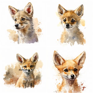 Adorable Clipart Baby Kioti Animal for Crafting ,high-resolution ,JPG ...