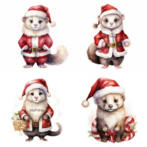 Ferret Clipart, Christmas Clipart, Santa Claus Dress, White Background ...