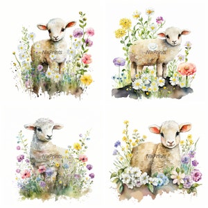 Baby Sheep Lamb Clipart - Spring Flowers and Gardening Theme - Digital ...