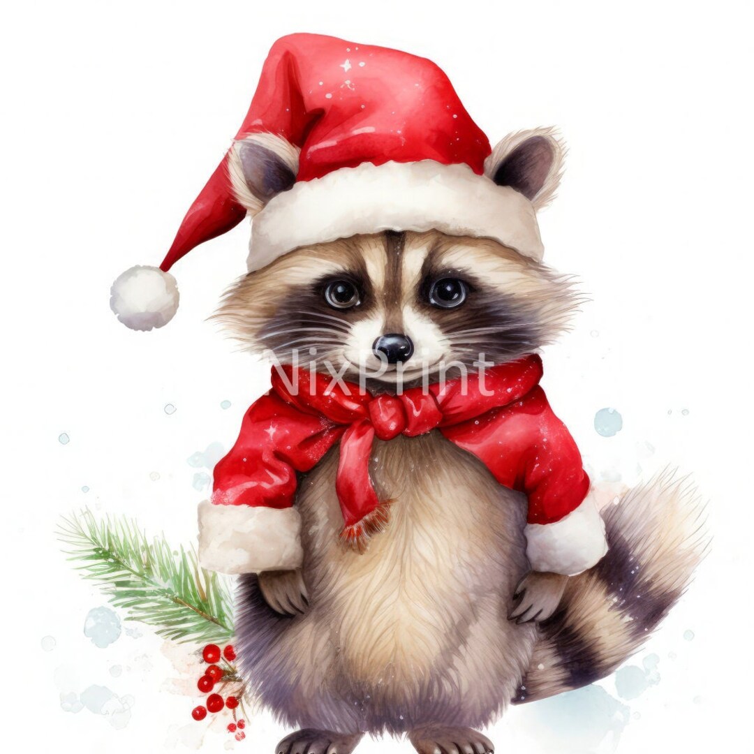 Raccoon Clipart, Christmas Clipart, in a Santa Claus Dress, White ...