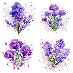 Statice Flower Paint Splash Clipart, Digital Paper Crafting, Digital ...